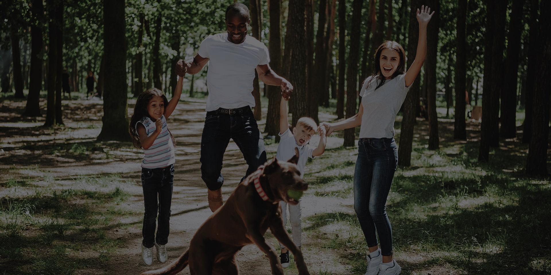 Transporte Internacional de Pets - Somos a Airpets, conte conosco!