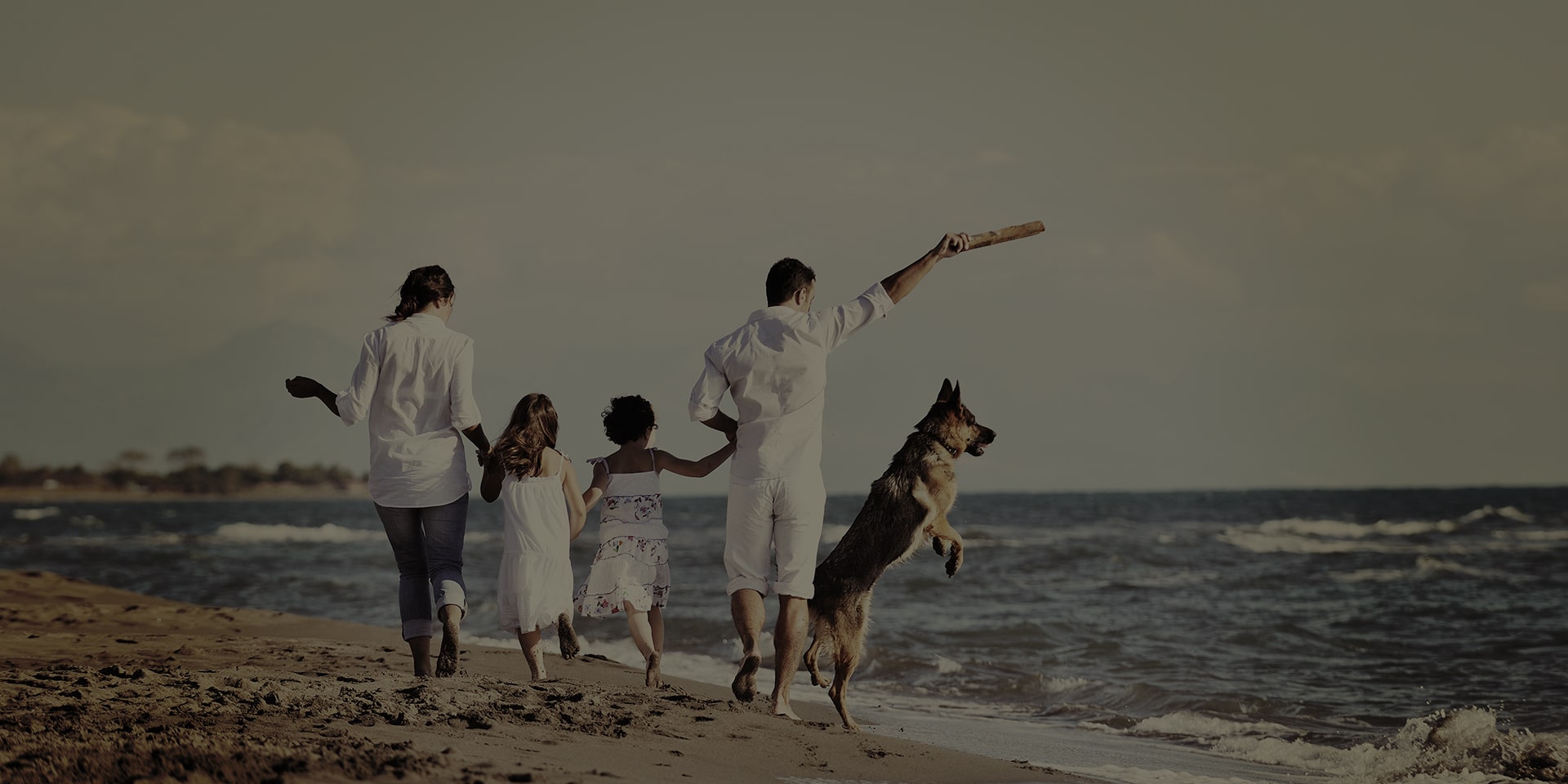 Transporte Internacional de Pets - Somos a Airpets, conte conosco!