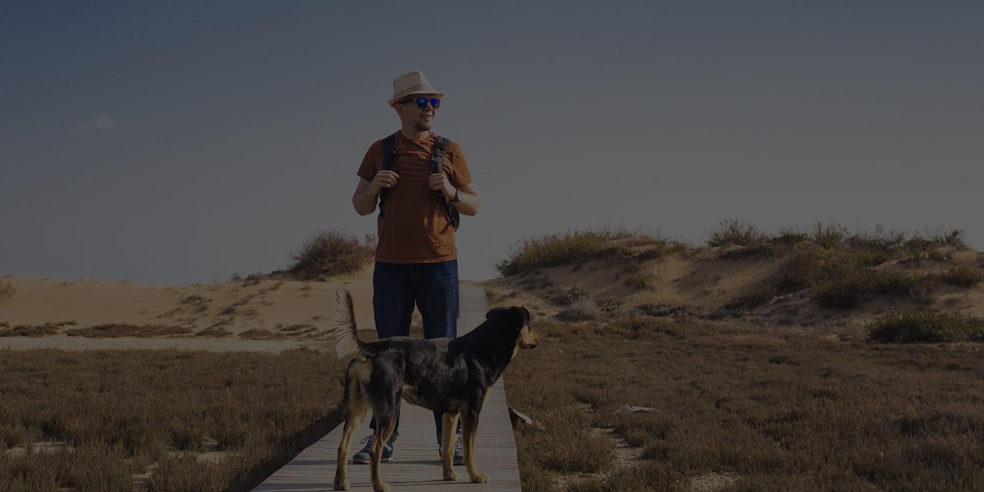 Transporte Internacional de Pets - Somos a Airpets, conte conosco!