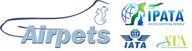 Transporte Internacional de Pets - Somos a Airpets, conte conosco!